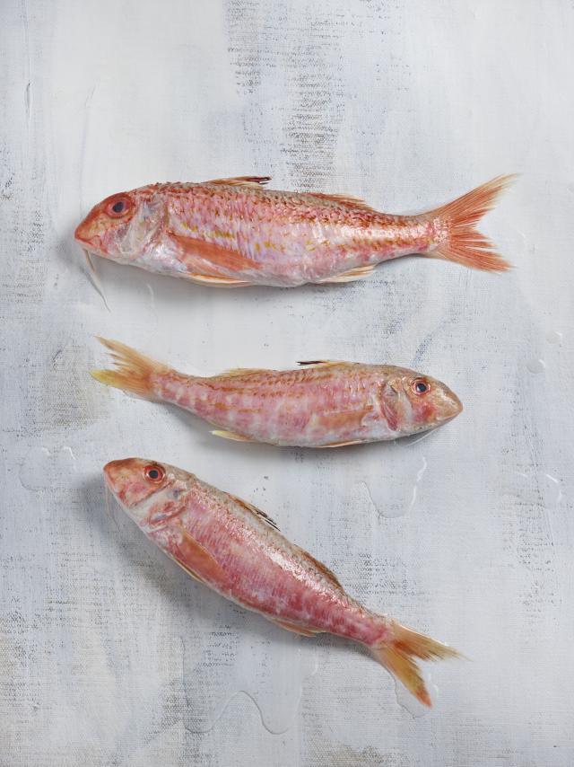 Vissen van het winterseizoen: wijting, zeebarbeel en sint-jacobsnoten ...