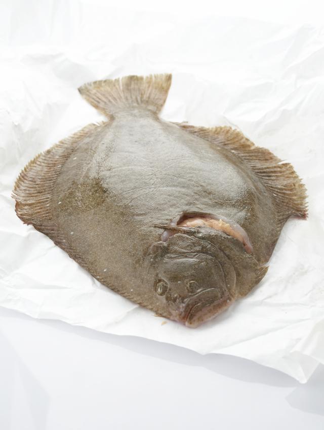 Vissen van het herfstseizoen: rog, griet, inktvis | Lekker van bij ons ...