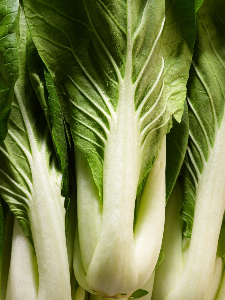 Paksoi, koolrabi en Chinese kool | Lekker van bij ons - Verswinkels